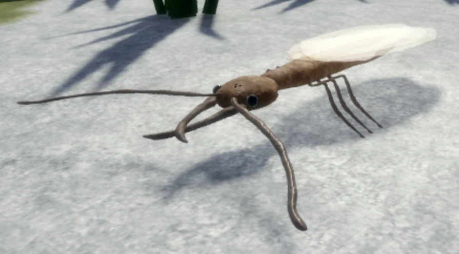 Dobsonfly | Arthroworld Wiki | Fandom