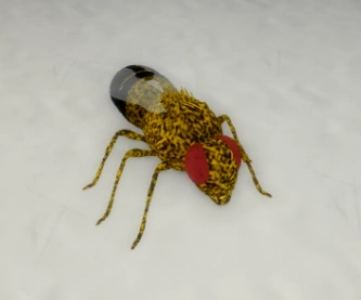 Common-Fruit Fly | Arthroworld Wiki | Fandom