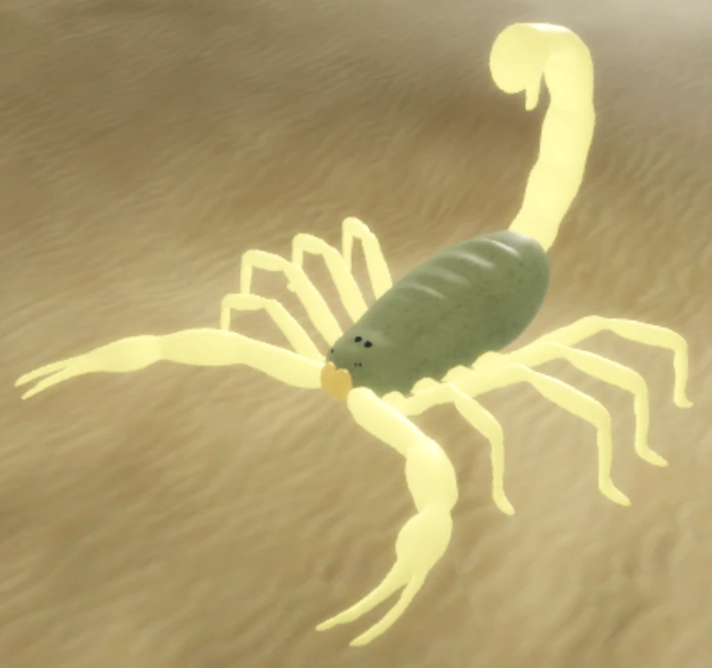 Deathstalker Scorpion | Arthroworld Wiki | Fandom