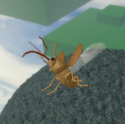 Acorn Weevil | Arthroworld Wiki | Fandom