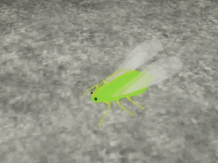 Aphid | Arthroworld Wiki | Fandom