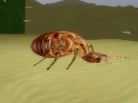 Antlion | Arthroworld Wiki | Fandom