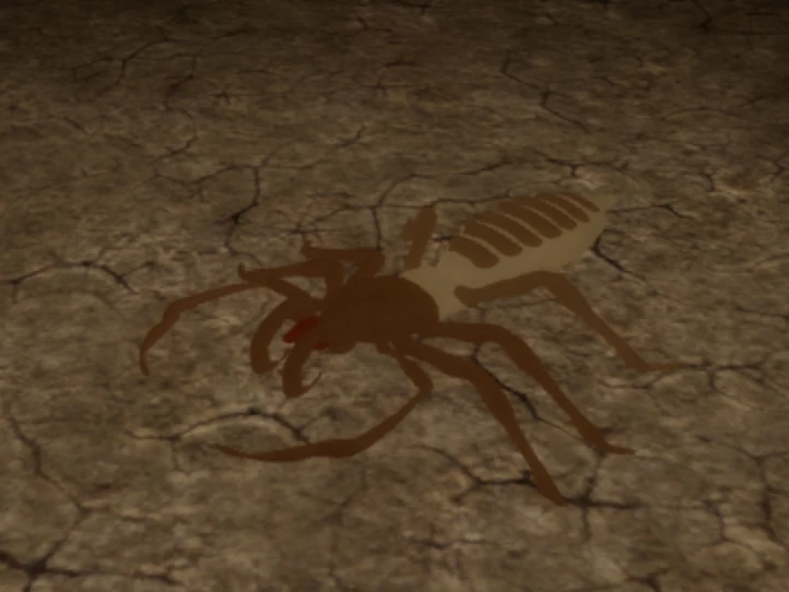 Short-Tailed Whip Scorpion | Arthroworld Wiki | Fandom