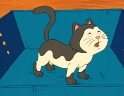 Arthur Livedash 20 Ark