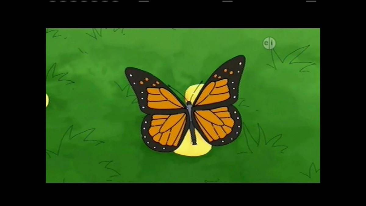 Monarch butterfly | Arthur Wiki | Fandom