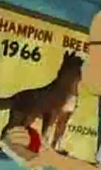 Annual Dog Show | Arthur Wiki | Fandom