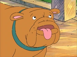 Arthur Livedash 20 Ark