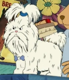 Cookie | Arthur Wiki | Fandom