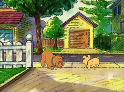 Arthur Livedash 20 Ark