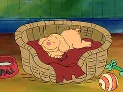 Pal | Arthur Wiki | Fandom