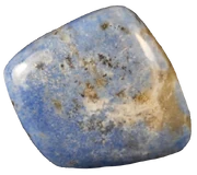 Violane | KJD Wiki | Fandom