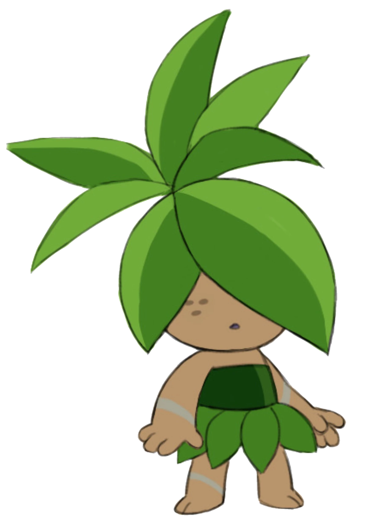 Petrified Coconut | KJD Wiki | Fandom