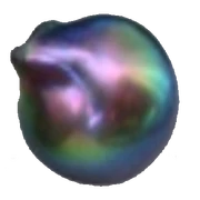 Iris Pearl | KJD Wiki | Fandom