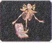 Assassin | EXA_PICO Universe Wiki | Fandom