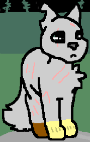 Cube the wolf | ARWAH Movie Series(Scratch Edition/Full version) Wiki ...