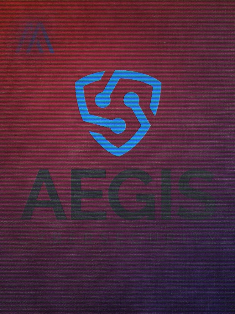 Aegis | Wiki Ascendancy | Fandom