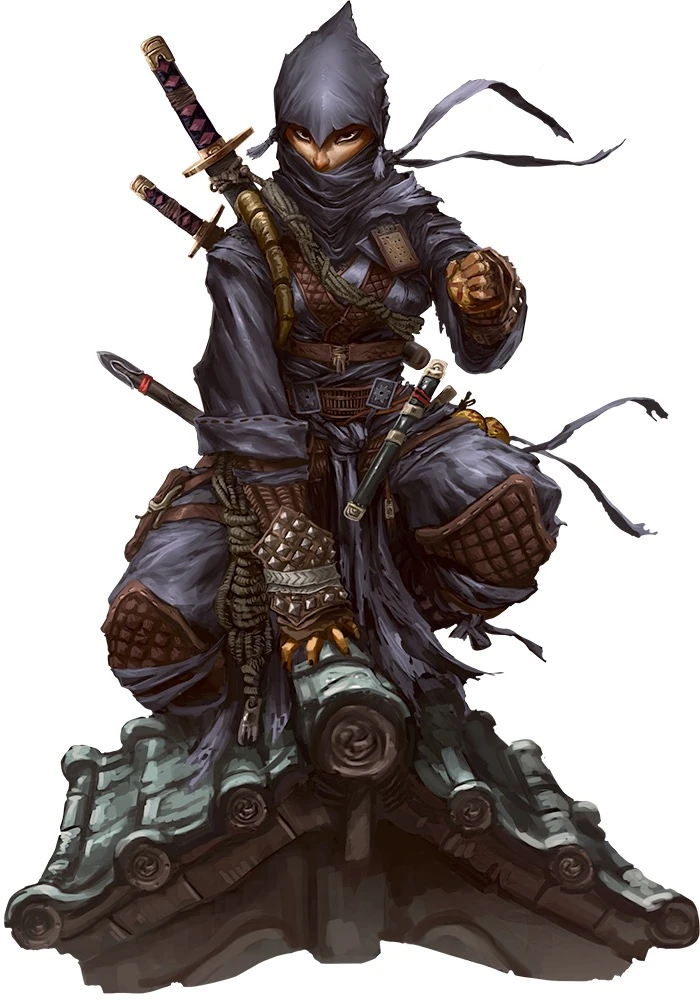 Ninja | Wiki Asharia | Fandom