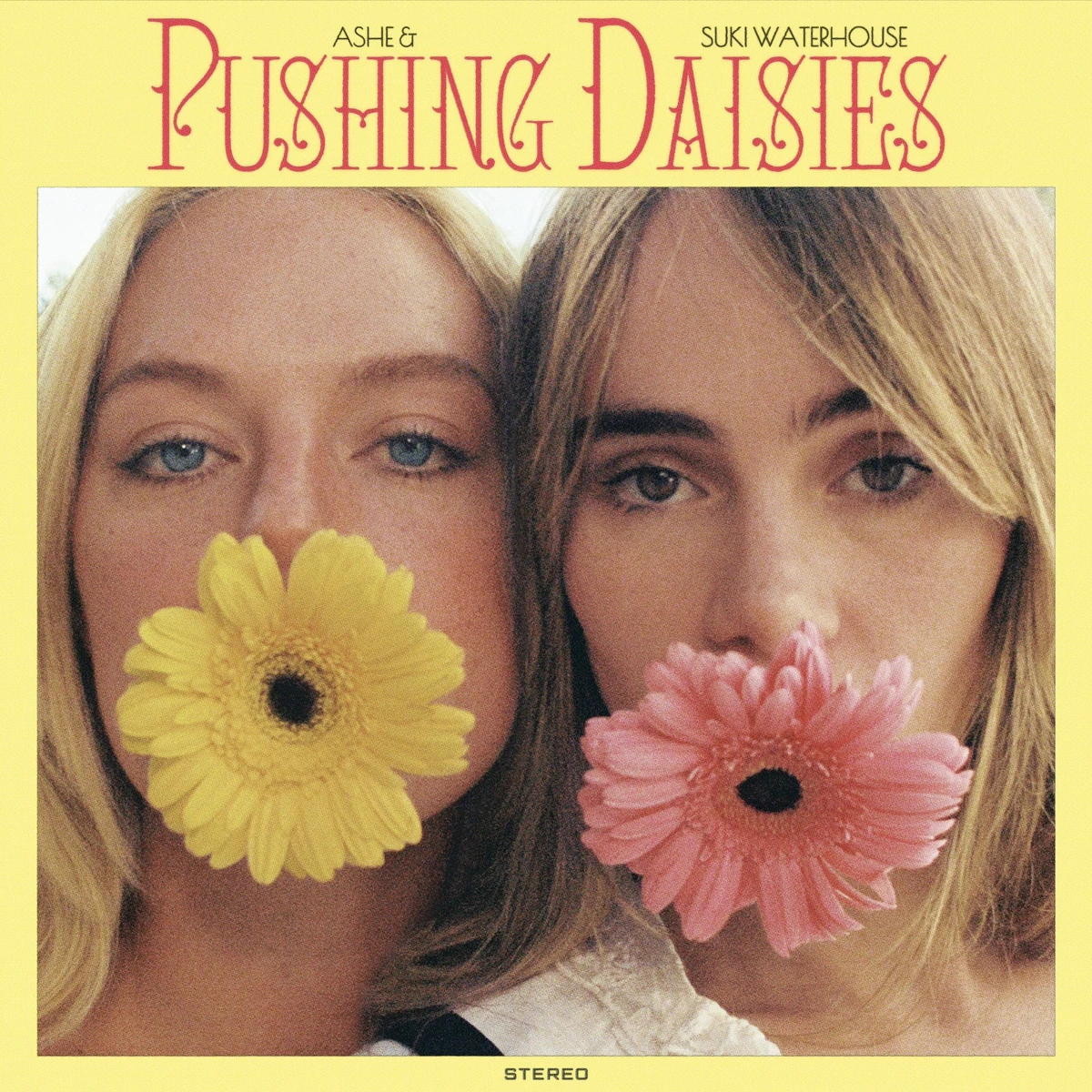 Pushing Daisies | Ashe Wiki | Fandom