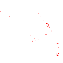 Water Wisp | Asheron's Call Community Wiki | Fandom