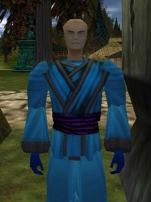 Town Crier | Asheron's Call Community Wiki | Fandom