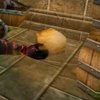 Focusing Stone | Asheron's Call Community Wiki | Fandom