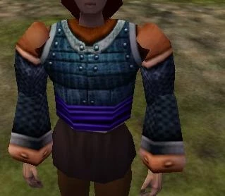 Gromnie Hide Amuli Coat | Asheron's Call Community Wiki | Fandom