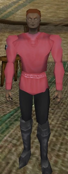 Apprentice Cook (Uziz) | Asheron's Call Community Wiki | Fandom