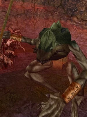 Burun Ruuk Adherent | Asheron's Call Community Wiki | Fandom