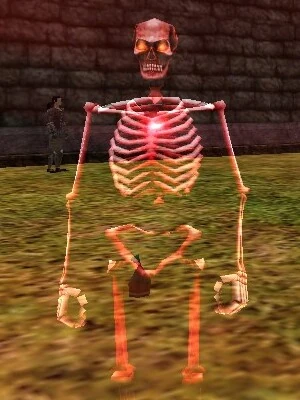 Fire Skeleton Minion Essence (50) | Asheron's Call Community Wiki | Fandom