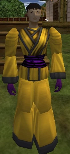 Suikan Robe | Asheron's Call Community Wiki | Fandom