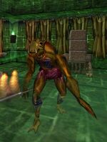 Moss Chamber | Asheron's Call Community Wiki | Fandom