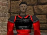 Category:Armor | Asheron's Call Community Wiki | Fandom