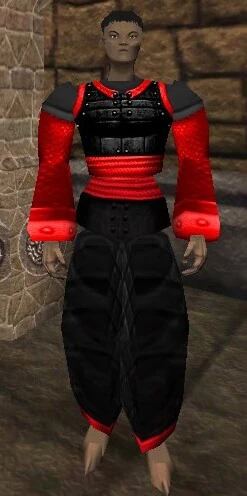 Amuli Armor | Asheron's Call Community Wiki | Fandom