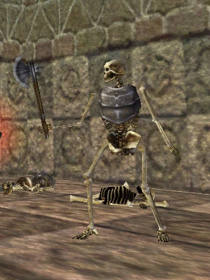 Skeleton Captain | Asheron's Call Community Wiki | Fandom