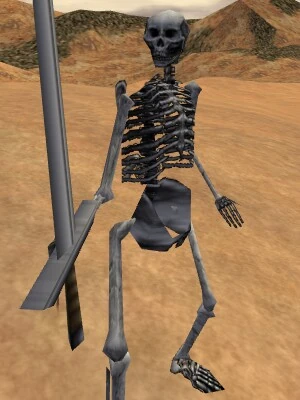 Charred Skeleton | Asheron's Call Community Wiki | Fandom