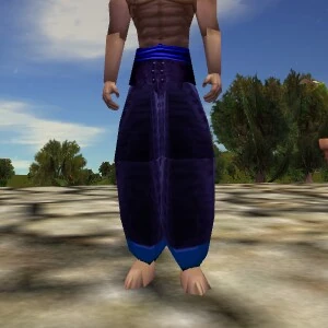 Gromnie Hide Amuli Leggings | Asheron's Call Community Wiki | Fandom