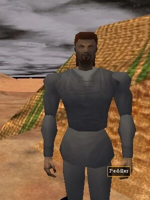 Peddler (Uziz) | Asheron's Call Community Wiki | Fandom