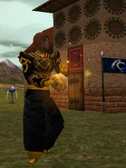 Focusing Stone | Asheron's Call Community Wiki | Fandom