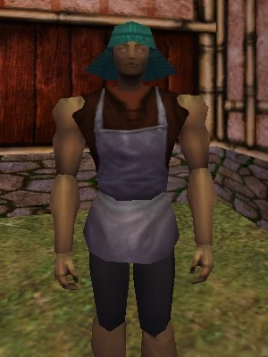 Merchant (Heartland) | Asheron's Call Community Wiki | Fandom