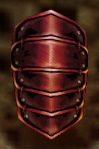 Olthoi Shield (Loot) | Asheron's Call Community Wiki | Fandom