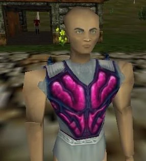 Greater Olthoi Breastplate | Asheron's Call Community Wiki | Fandom