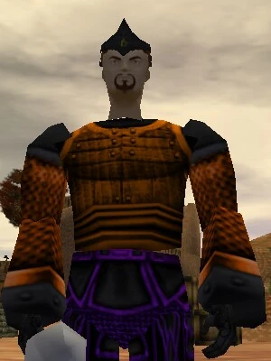 Heavy Gromnie Hide Coat | Asheron's Call Community Wiki | Fandom