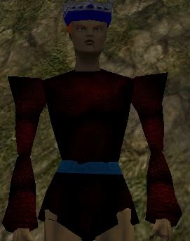Neydisa Hauberk/Sudden Season | Asheron's Call Community Wiki | Fandom