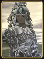 Multi-slot Armor Teaser | Asheron's Call Community Wiki | Fandom