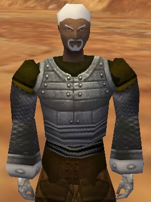 Greater Amuli Shadow Coat | Asheron's Call Community Wiki | Fandom