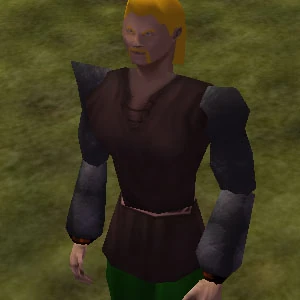 Mattekar Hide Sleeves | Asheron's Call Community Wiki | Fandom