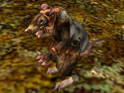 AC2:Bestiary/Vermin | Asheron's Call Community Wiki | Fandom