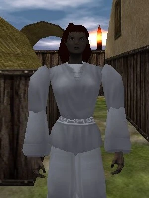 Ebon Gromnie Kill Task | Asheron's Call Community Wiki | Fandom