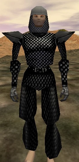 Scalemail Leggings | Asheron's Call Community Wiki | Fandom