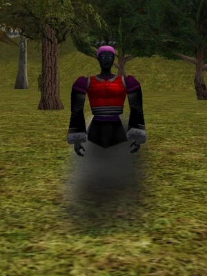 Shadow Captain (NPC) | Asheron's Call Community Wiki | Fandom